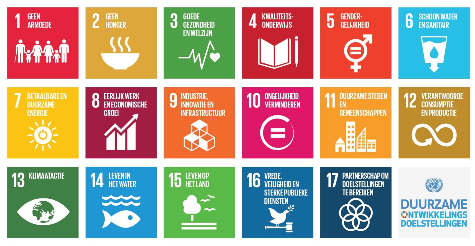 Strategische doelen van Will2Sustain - Will2Sustain